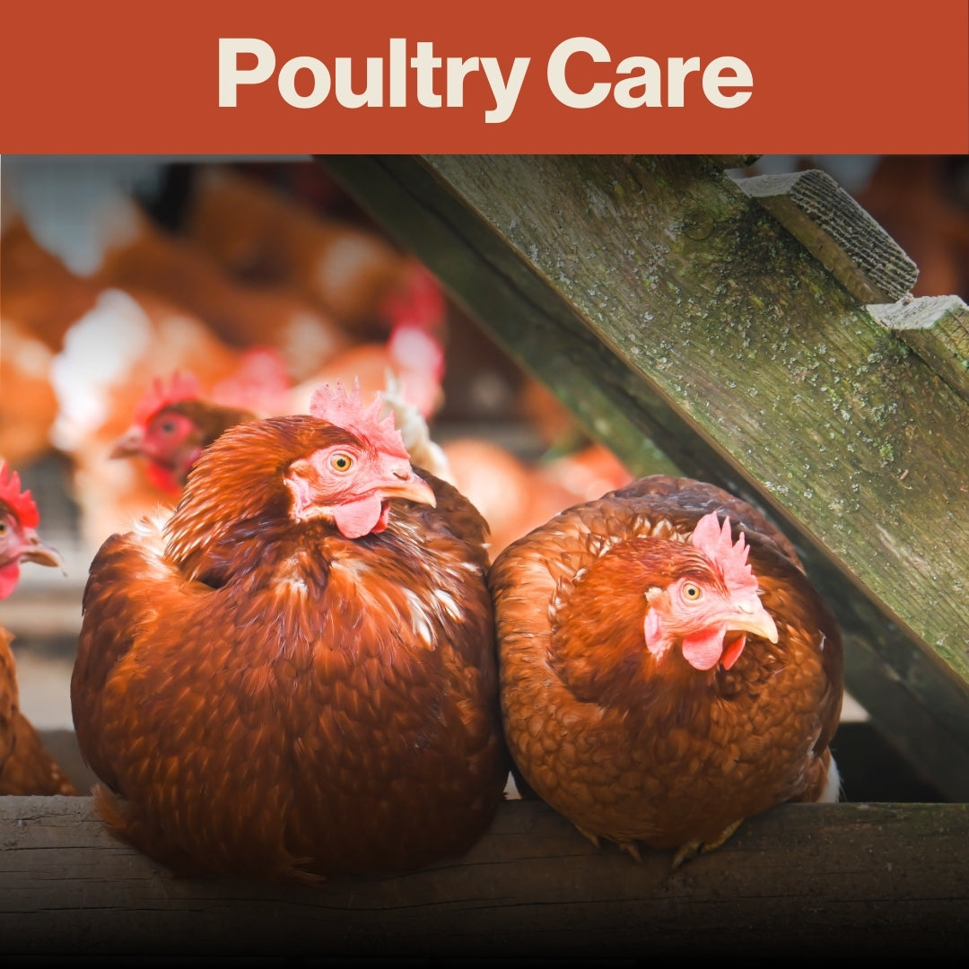 Farm Supplies Australia — Austral Ag | Delivered Australia‑Wide