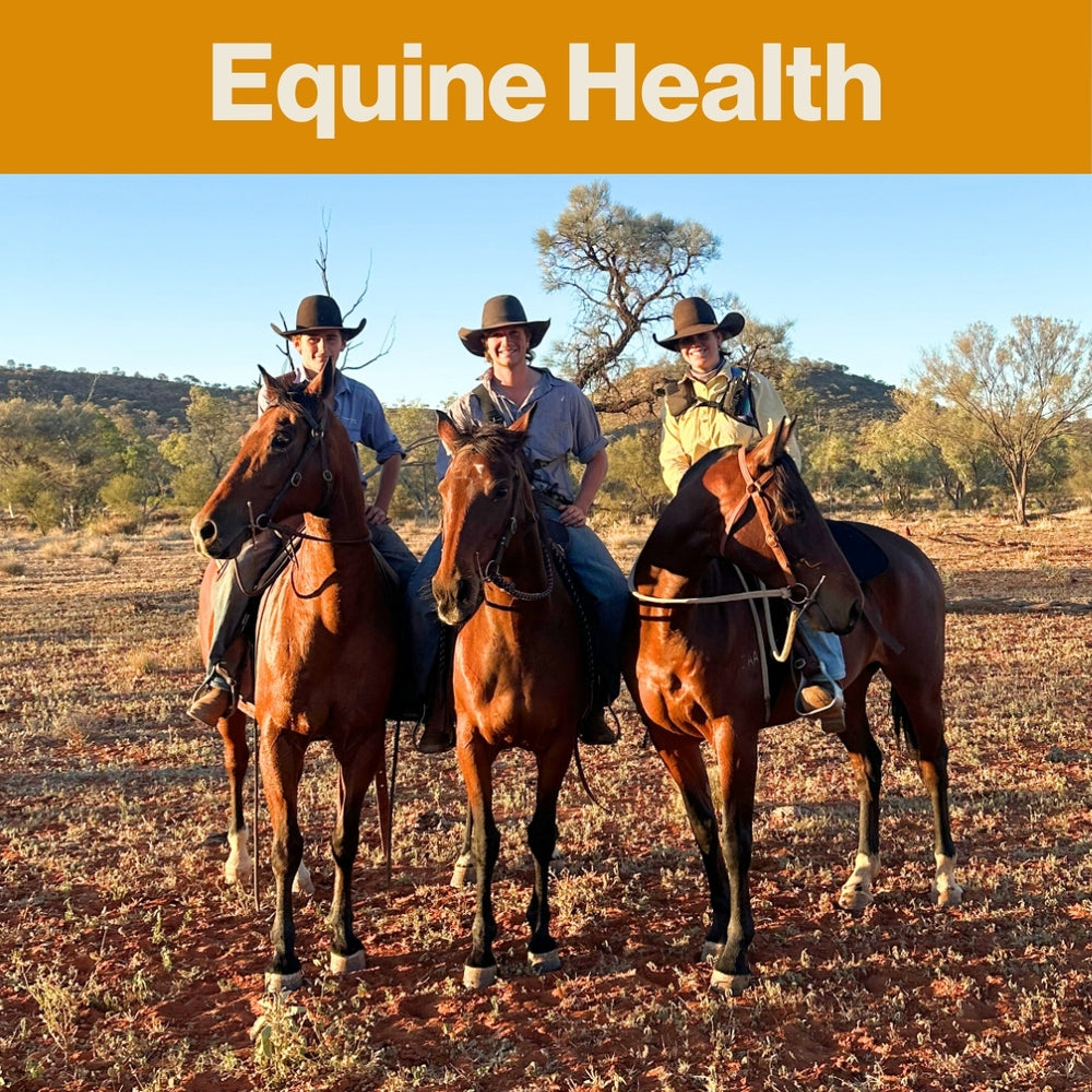 Farm Supplies Australia — Austral Ag | Delivered Australia‑Wide