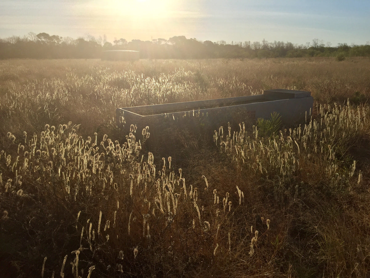 Austral Ag | Smarter Logistics & Agri Solutions for Australia