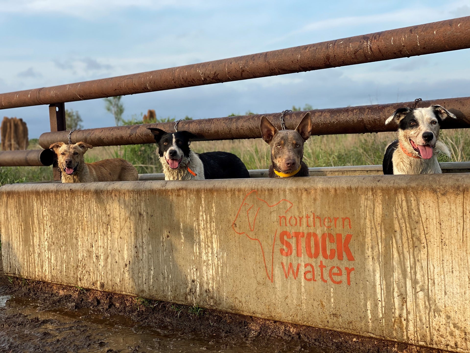 About Austral Ag | Independent Agricultural Supplies, Toowoomba QLD